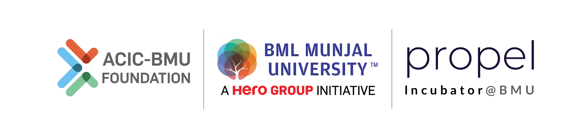 ACIC-BMU Foundation